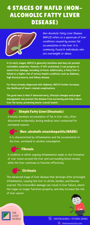 4 Stages of Non-Alcoholic Fatty Liver Disease (NAFLD)